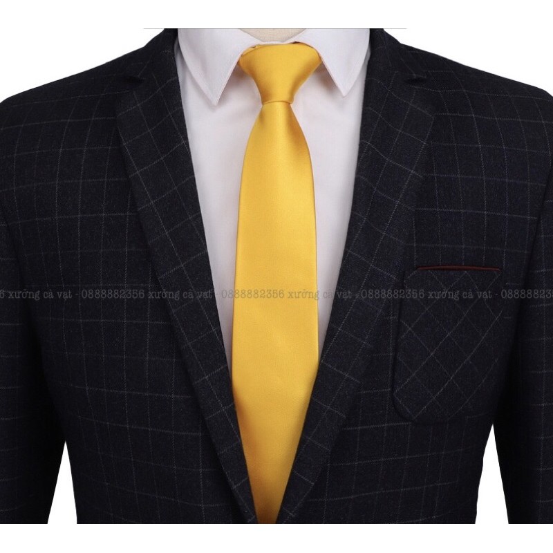 Cà vạt nam (nữ) thắt sẵn dây thun cà vạt nữ sinh Cavat sinh viên - MixASale