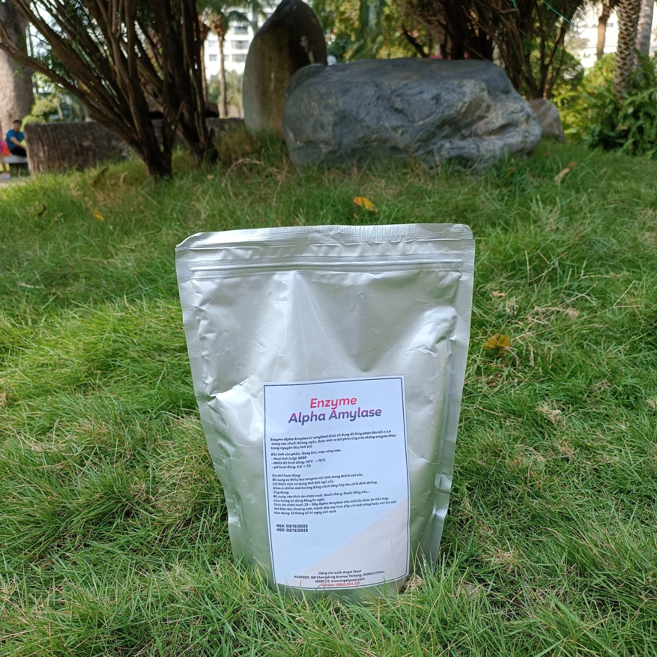 Enzyme Angel Alpha Amylase Nguyên Liệu FAM 5 – Dùng Cho Thức Ăn Chăn ...