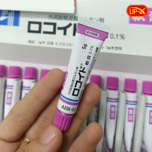 Kem bôi vết đốt côn trùng, muỗi đốt Rokoito Locoid Ointment 5g nhật bản ...