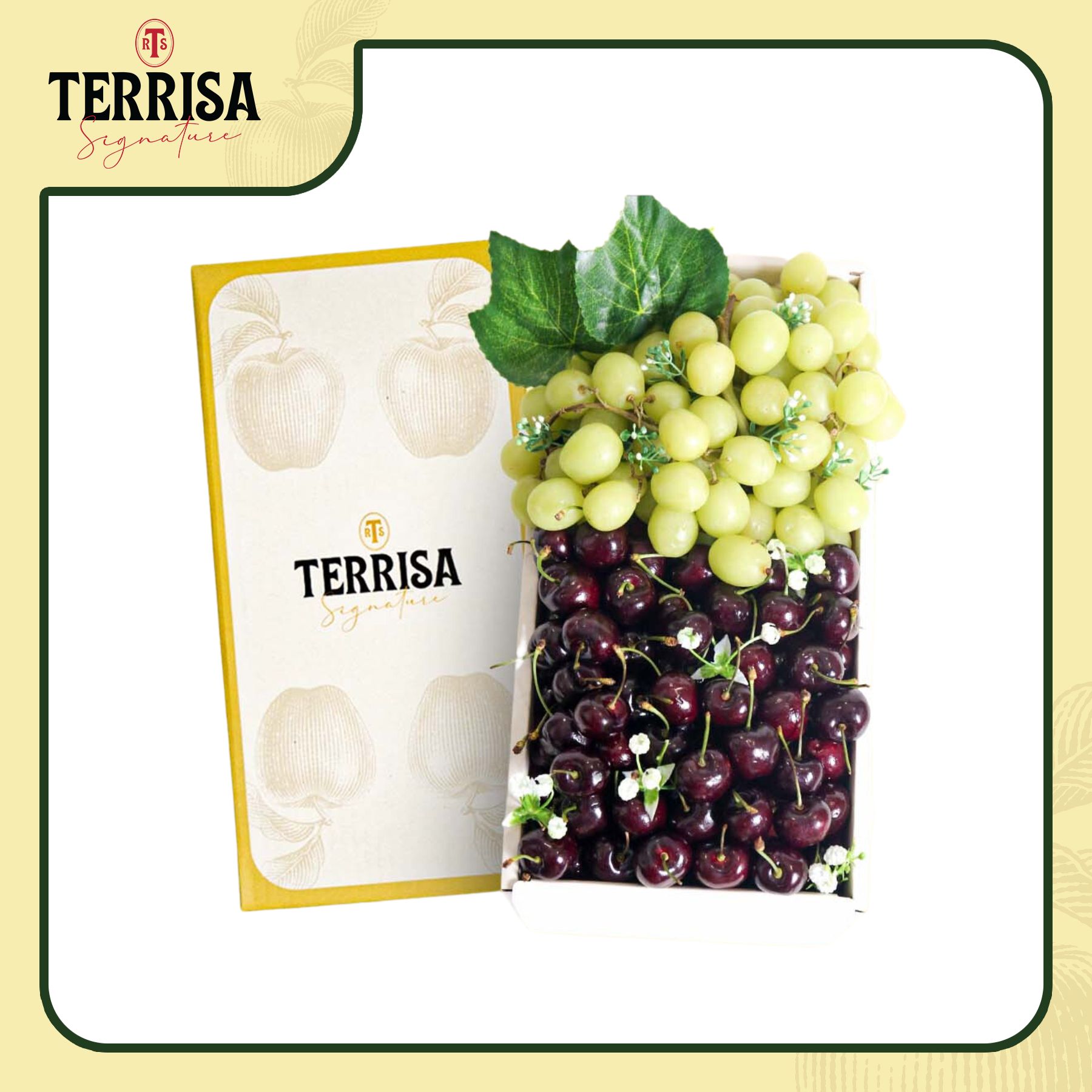 HCM Quà tặng TERRISA Signature 11 - TERRISA - Giao nhanh - MixASale