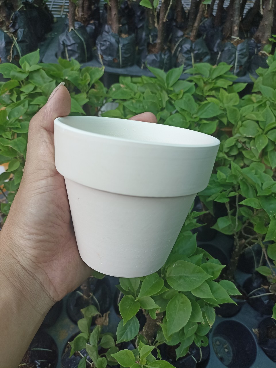 CHẬU ĐẤT NUNG MINI - CHẬU TRỒNG SEN ĐÁ, XƯƠNG RỒNG, BONSAI - NHIỀU KÍCH ...