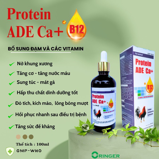1 lọ 100ml PROTEIN ADE Ca+B12 bổ sung Protein, vitamin: A,D,E,B12 và ...