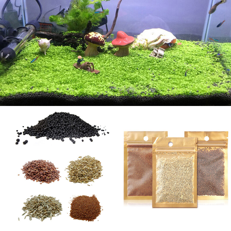 Lũa Trang Trí Bể Cá - Bể Thủy Sinh - Lũa Rừng Tự Nhiên Lũa Chuyên Setup ...