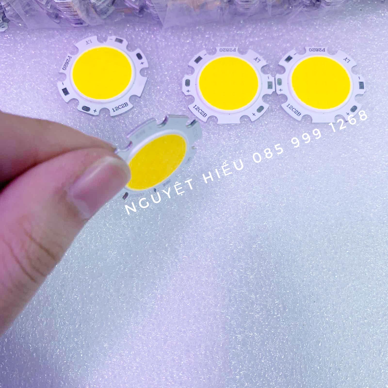 Nhân chip led COB 36V 12W - MixASale