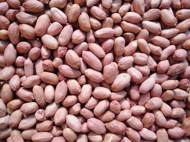 1kg Đậu phộng sống ( hạt lạc ) loại vừa Lạc đậu phộng bóc vỏ | Lazada.vn