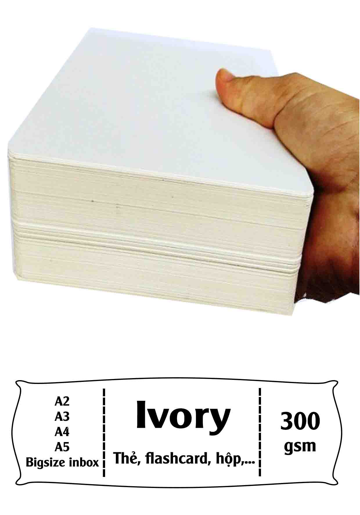 (Nhận cắt kích thước yêu cầu) Giấy chuẩn Ivory 300gsm a2 a3 a4 a5 a6 ...