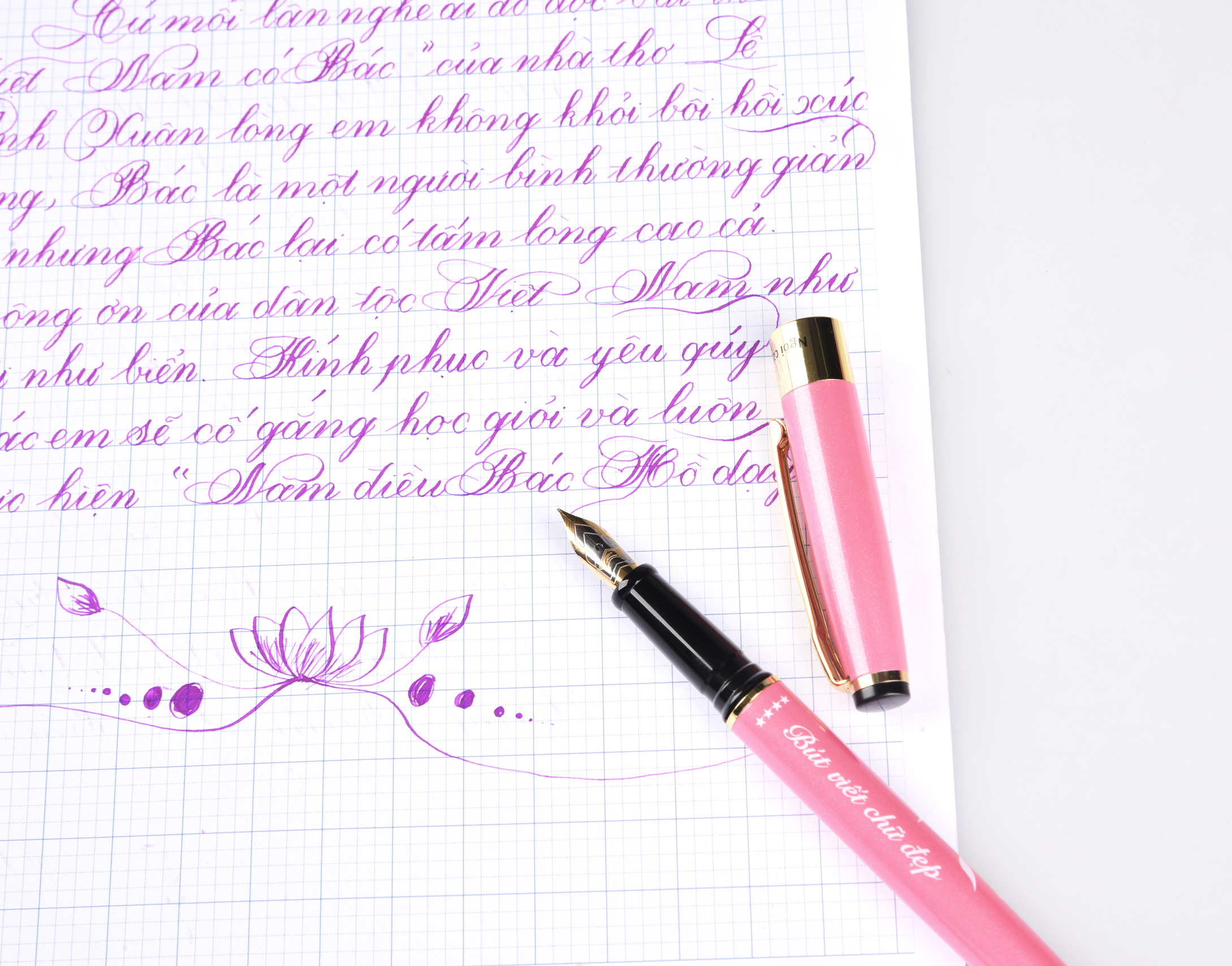 [HCM]Bút máy Điểm 10 TP-FTC02 chuyên luyện viết chữ đẹp với ngòi mài ...