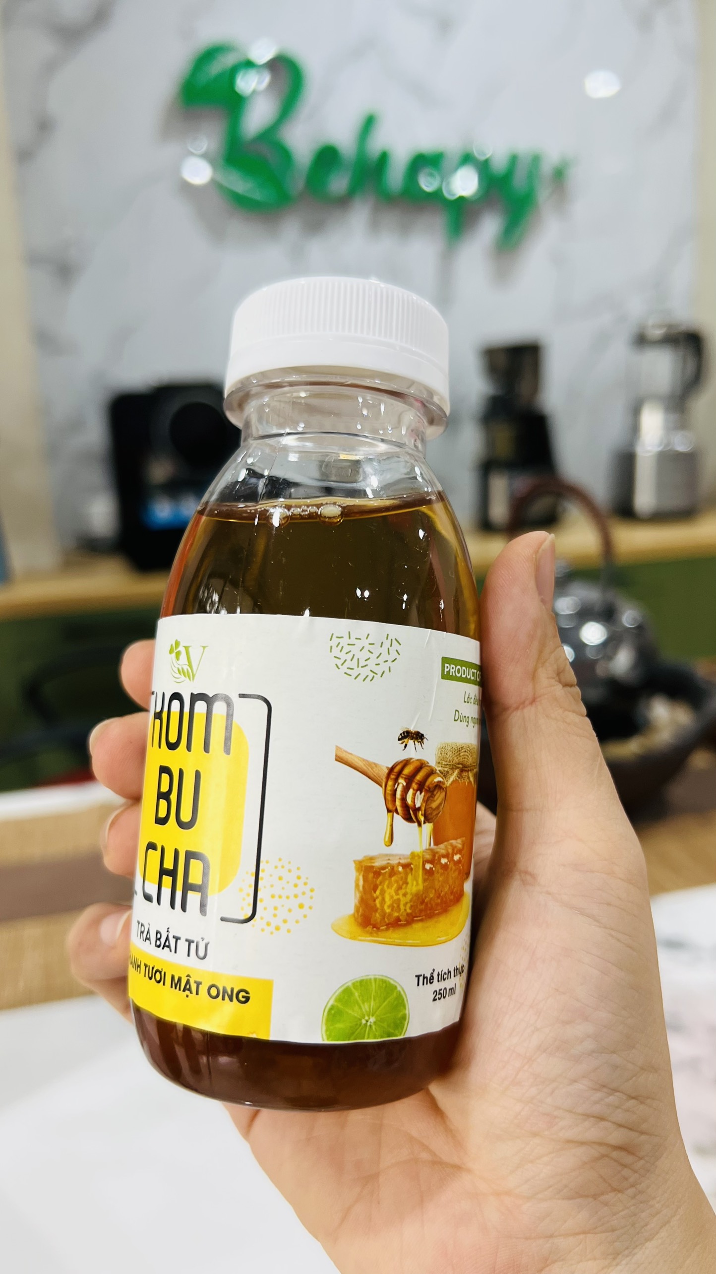 [hộp 6 chai]Trà Kombucha Light VGreen 250ml 5 vị Dừa tươi Me tươi Bí ...