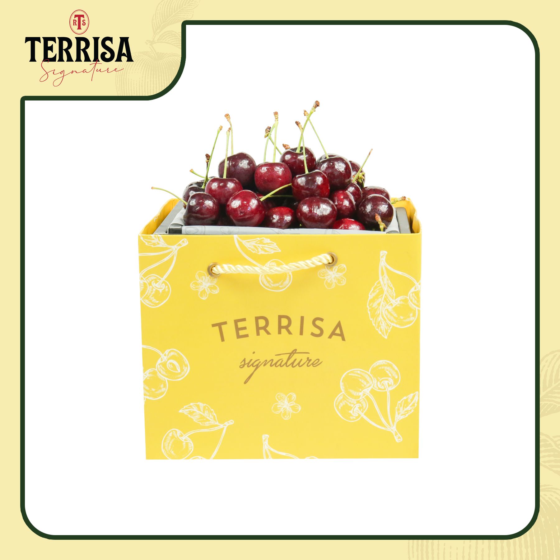 HCM Quà tặng TERRISA Signature 11 - TERRISA - Giao nhanh - MixASale