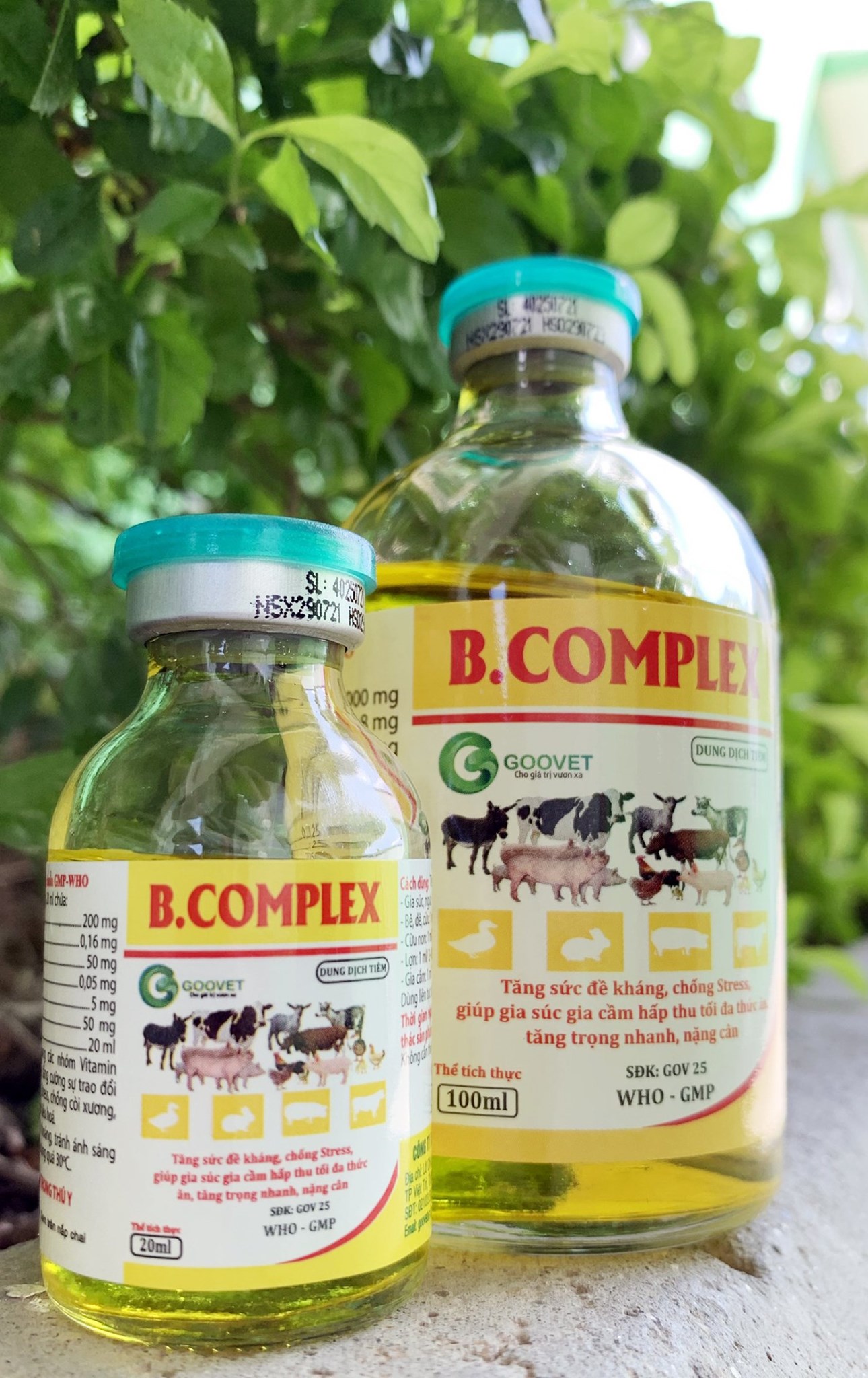 Bcomplex Tiêm (Chai 100ml) Goovet - Kích thích tăng trọng, tiêu hóa, trợ sức. Tăng Sức Đề Kháng ...