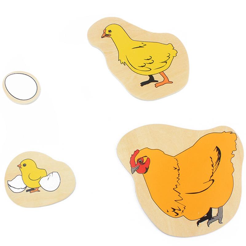 Children'S Multi-Layer Puzzle Wooden Toy Eggs Hatching Life Cycle ...