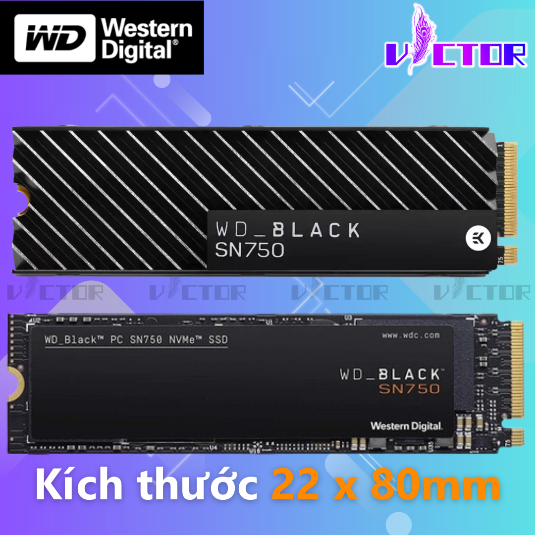 Ổ cứng gắn trong tốc độ cao cho Laptop PC Playstation SSD WD Black ...