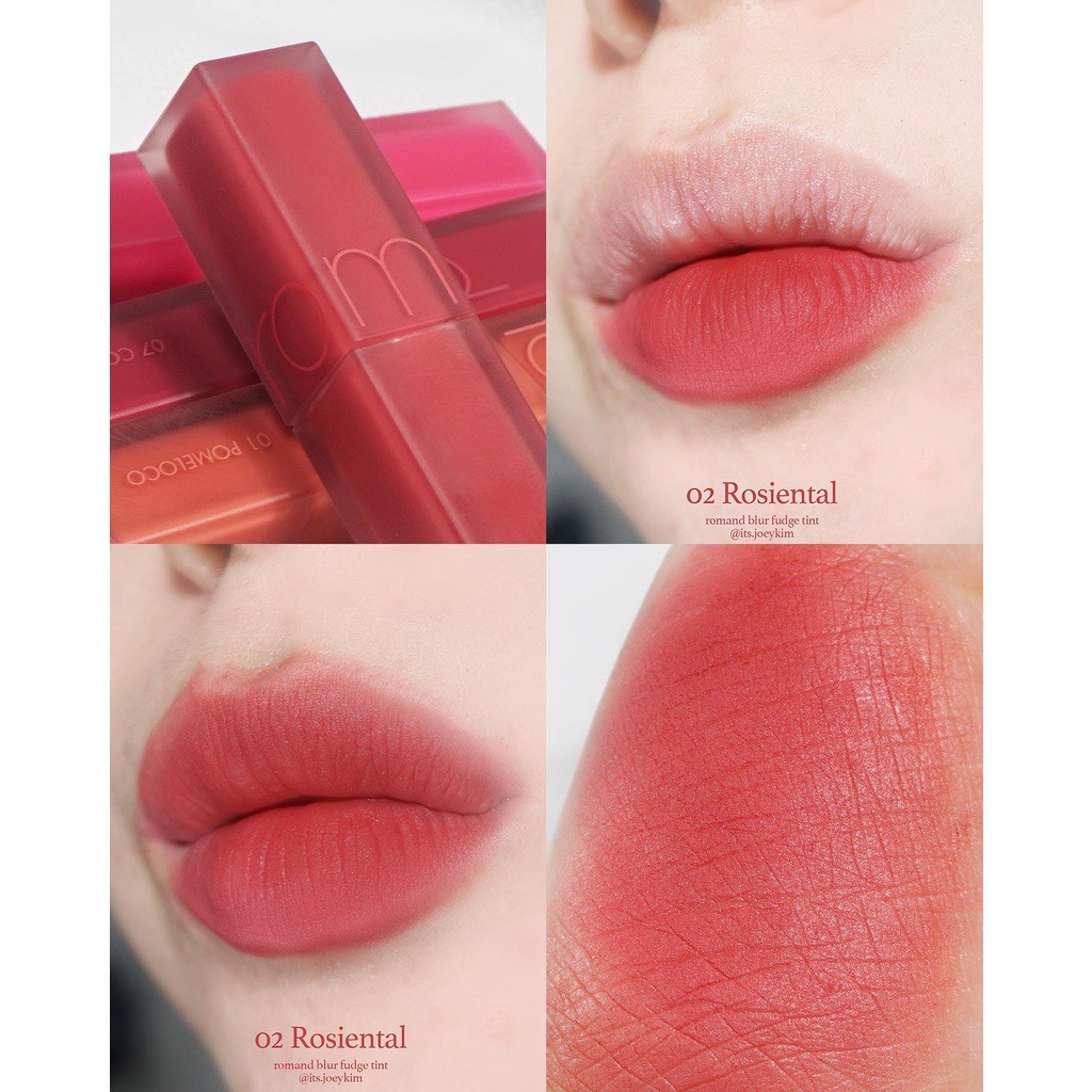 Son Romand Blur Fudge Tint 5g Hàn Quốc | Lazada.vn