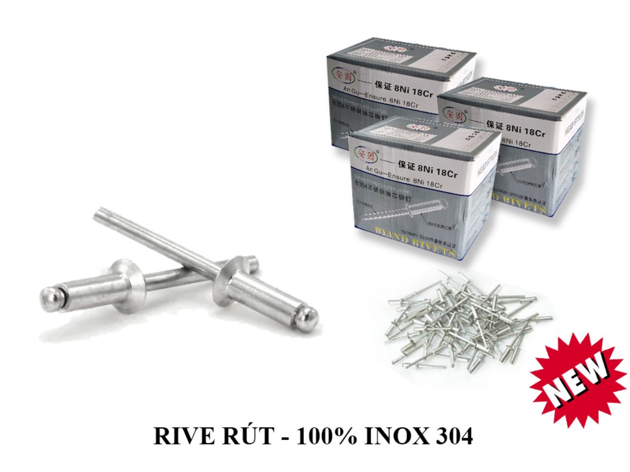 [HCM]10 con đinh rút RIVE INOX 304 hàng cứng cáp size chuẩn | Lazada.vn