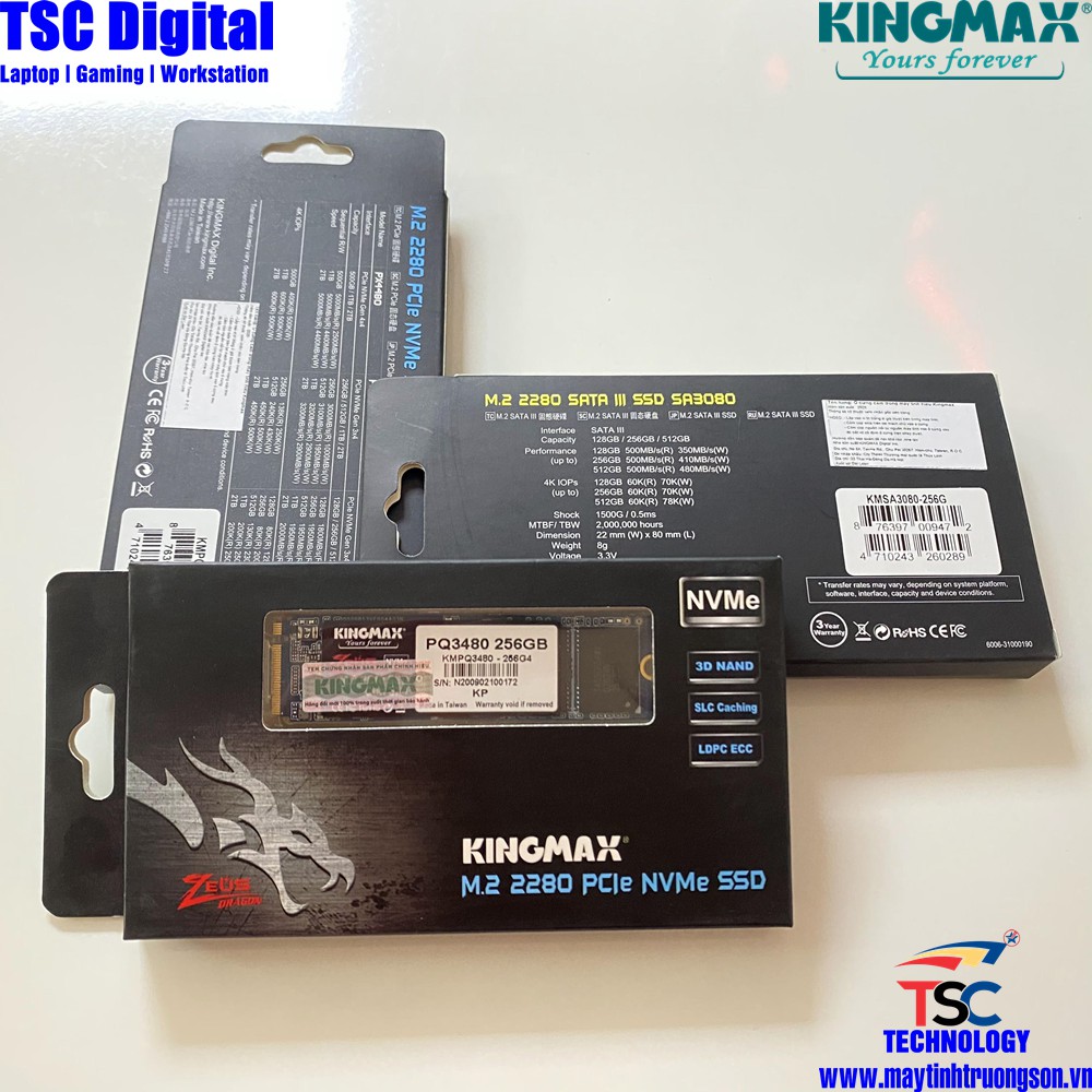 SSD M2 NVME 128G 256G 512G 1TB Kingmax Zeus PQ3480 PCIe NVMe Gen 3x4 ...
