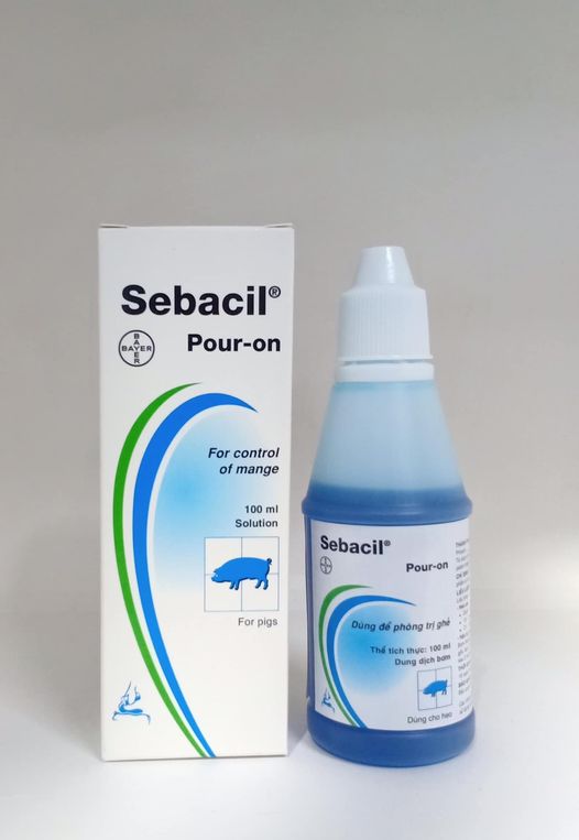 [Giá Rẻ] 1 lọ SEBACIL của BAYER bôi sống lưng ve ghẻ nặng cho heo và ...
