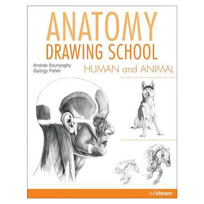 Artbook - Sách Tiếng Anh - Anatomy Drawing School: Human and Animal ...