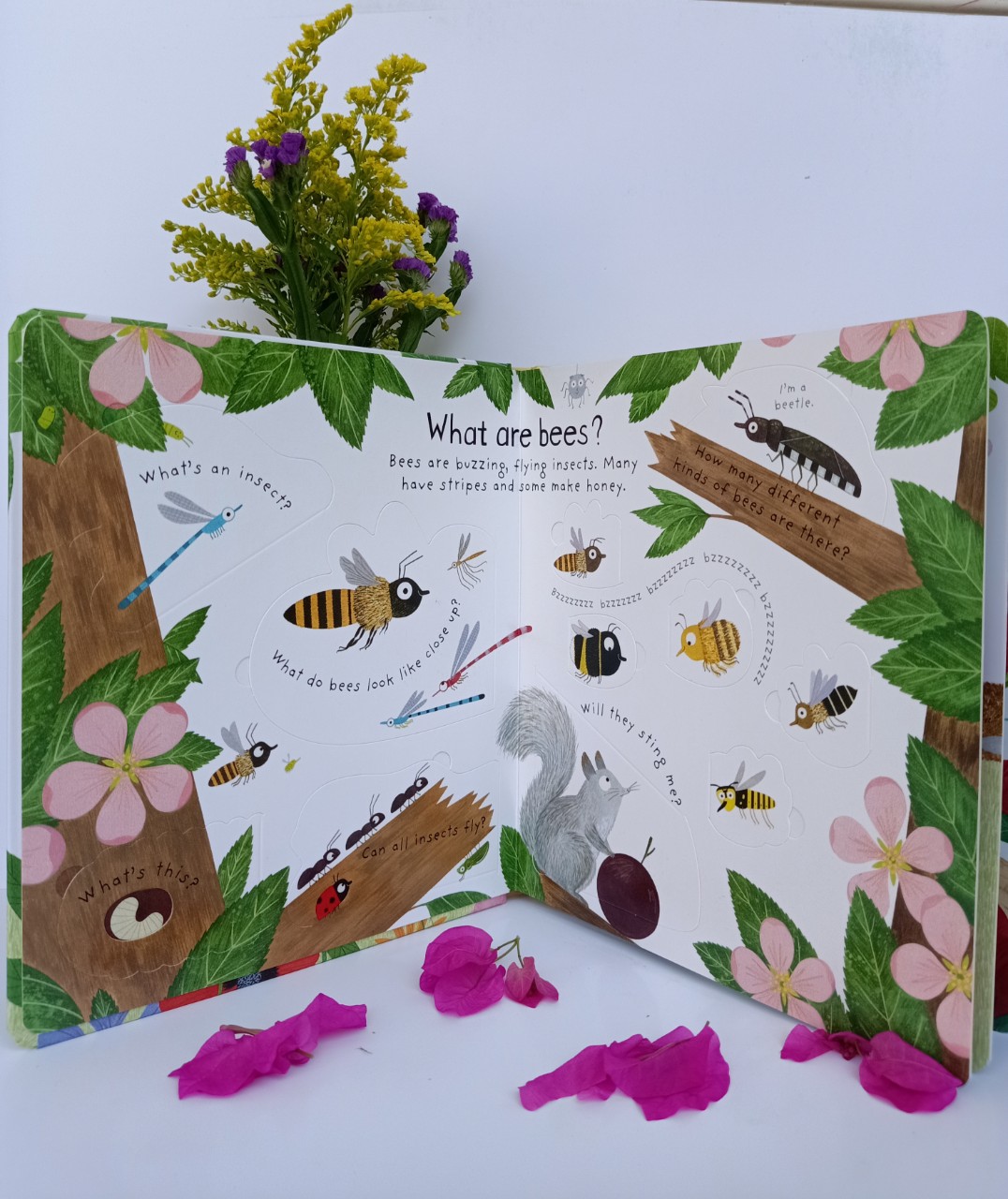 Lift-the-Flap First Questions and Answers Why do we need bees? - MixASale