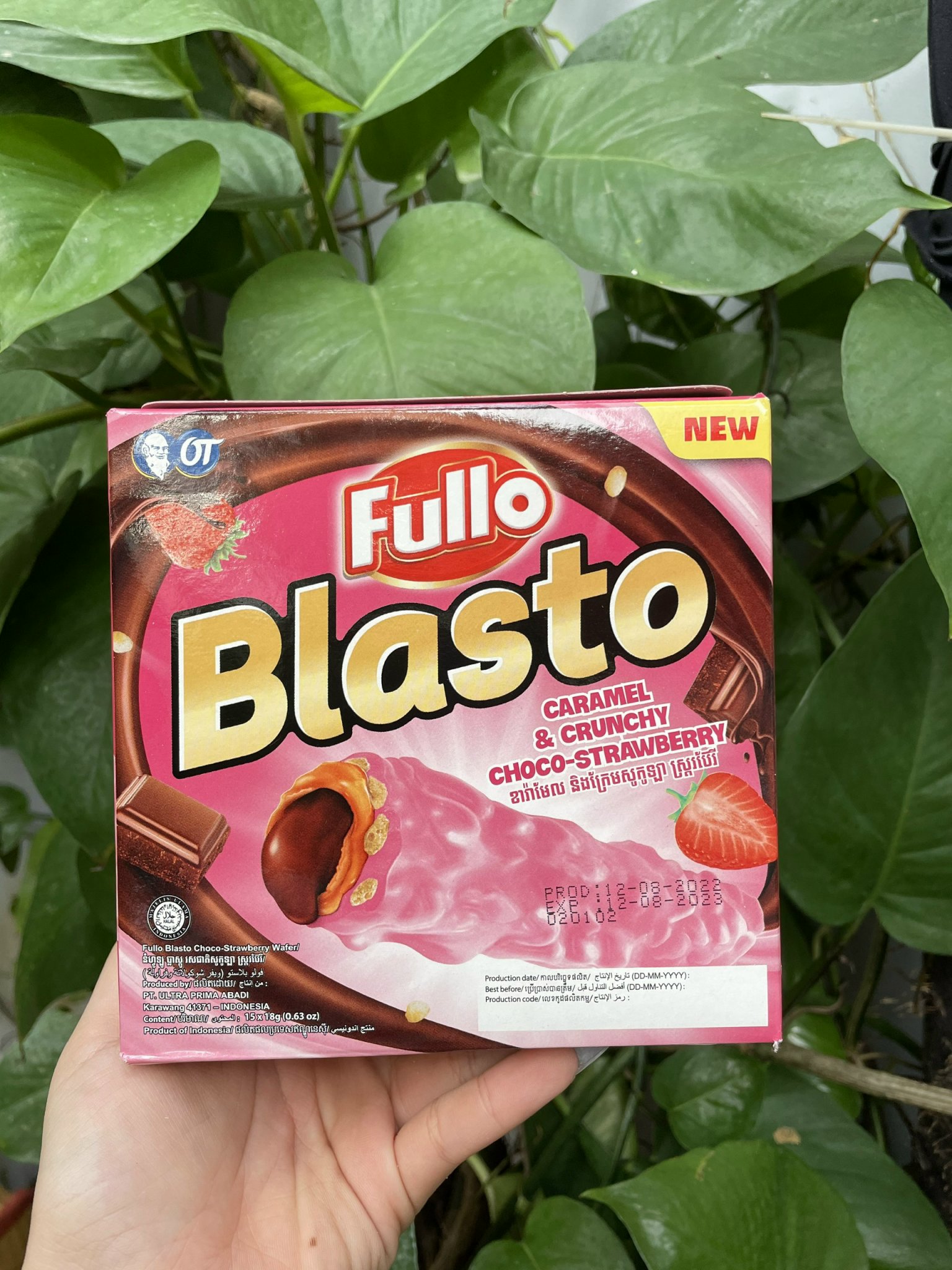 Bánh Quế Xốp Fullo Blasto Sôcôla Dâu Choco-Strawberry (Hộp 15 cái ...