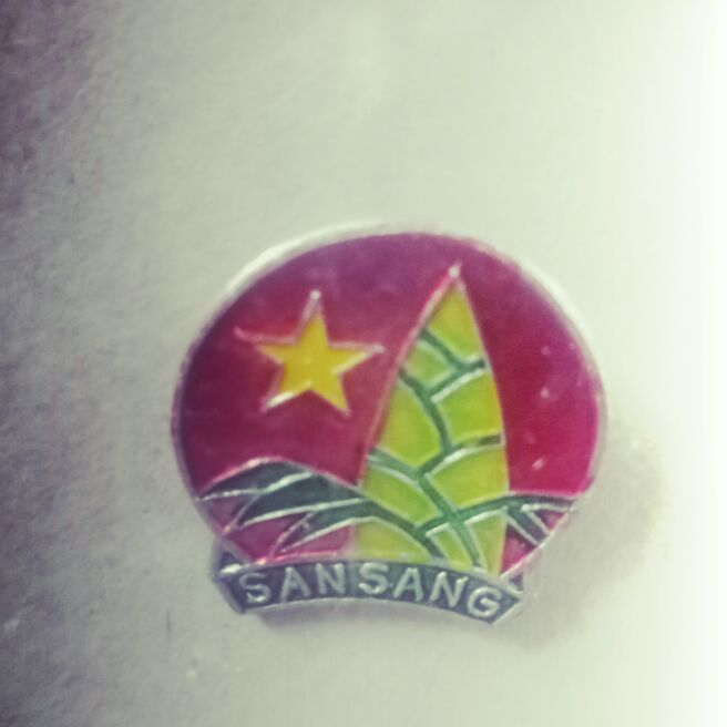 Huy hiệu Búp măng non, huy hiệu Đội, Đội TNTP HCM, Đội Thiếu niên tiền ...