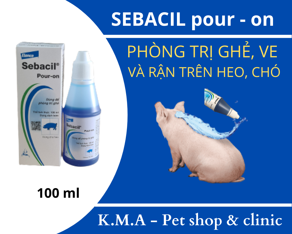 SEBACIL POUR - ON 100ML - SẢN PHẨM SỬ DỤNG TRÊN HEO BỊ GHẺ | Lazada.vn