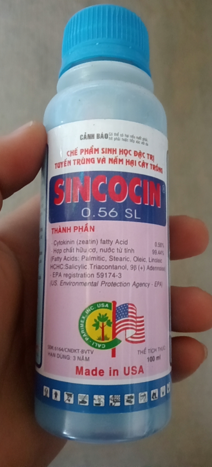 Sincocin 0.56SL thể tích 100ml có hiệu lực đối với tuyến trùng gây u ...