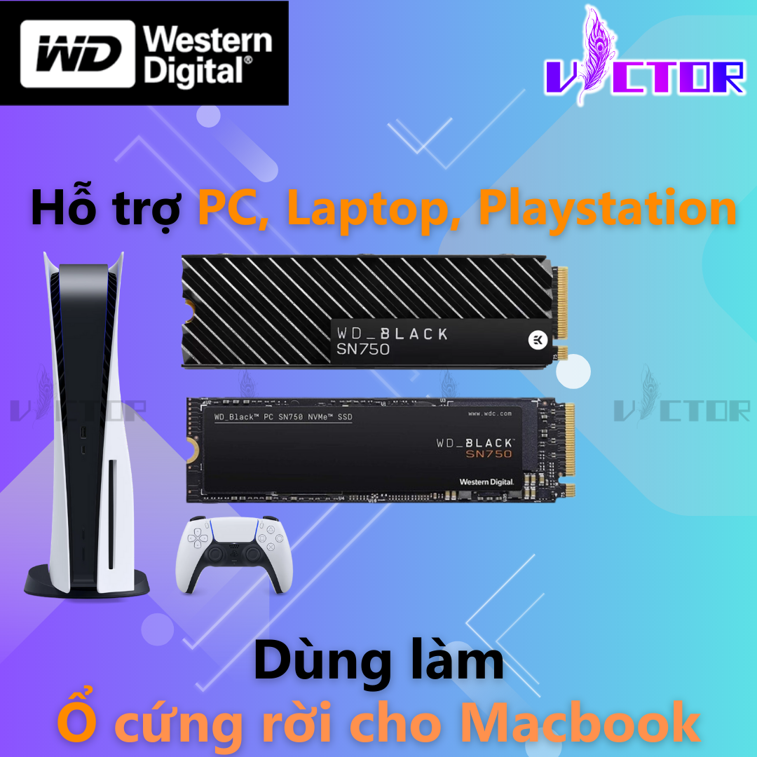 Ổ cứng gắn trong tốc độ cao cho Laptop PC Playstation SSD WD Black ...