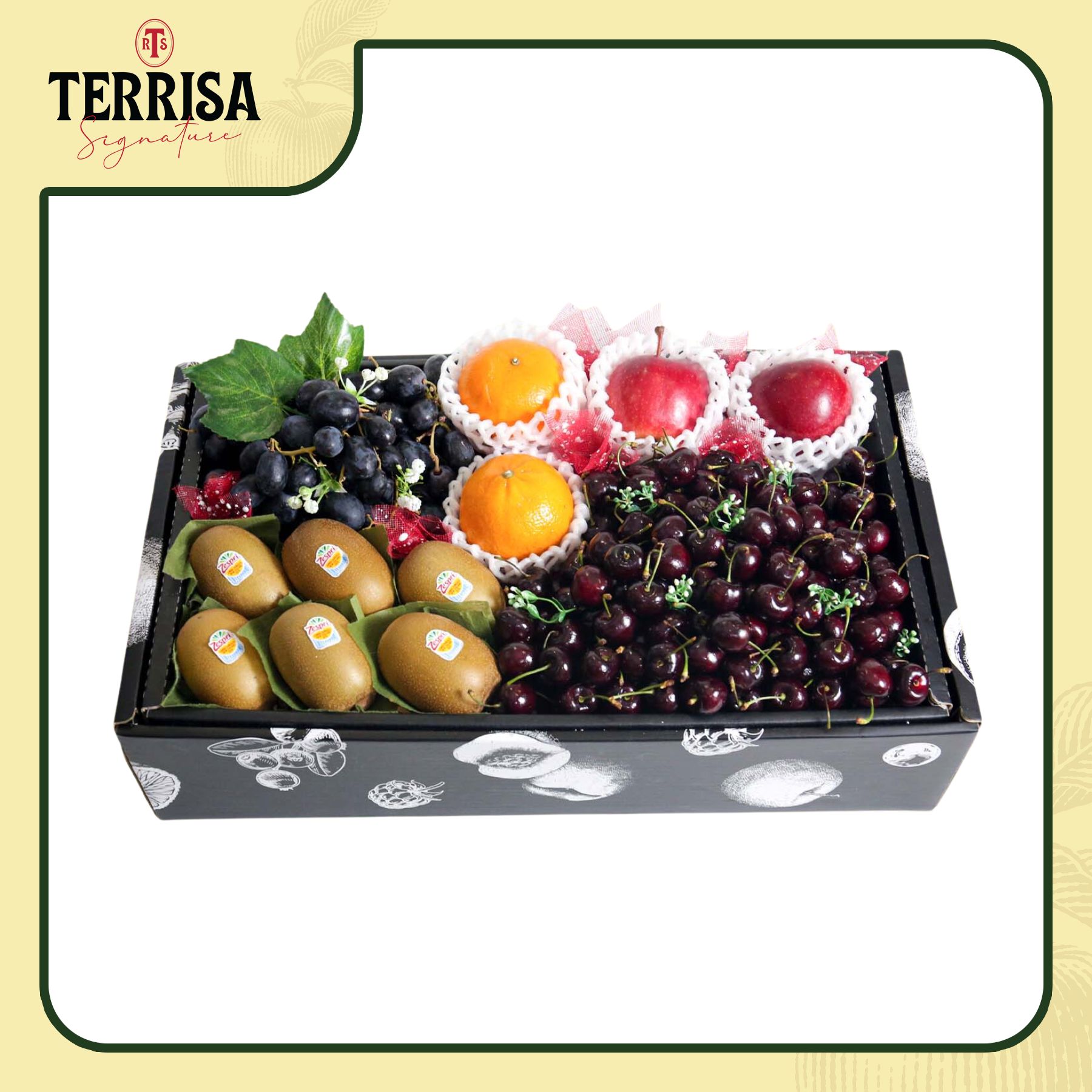 HCM Quà tặng TERRISA Signature 11 - TERRISA - Giao nhanh - MixASale