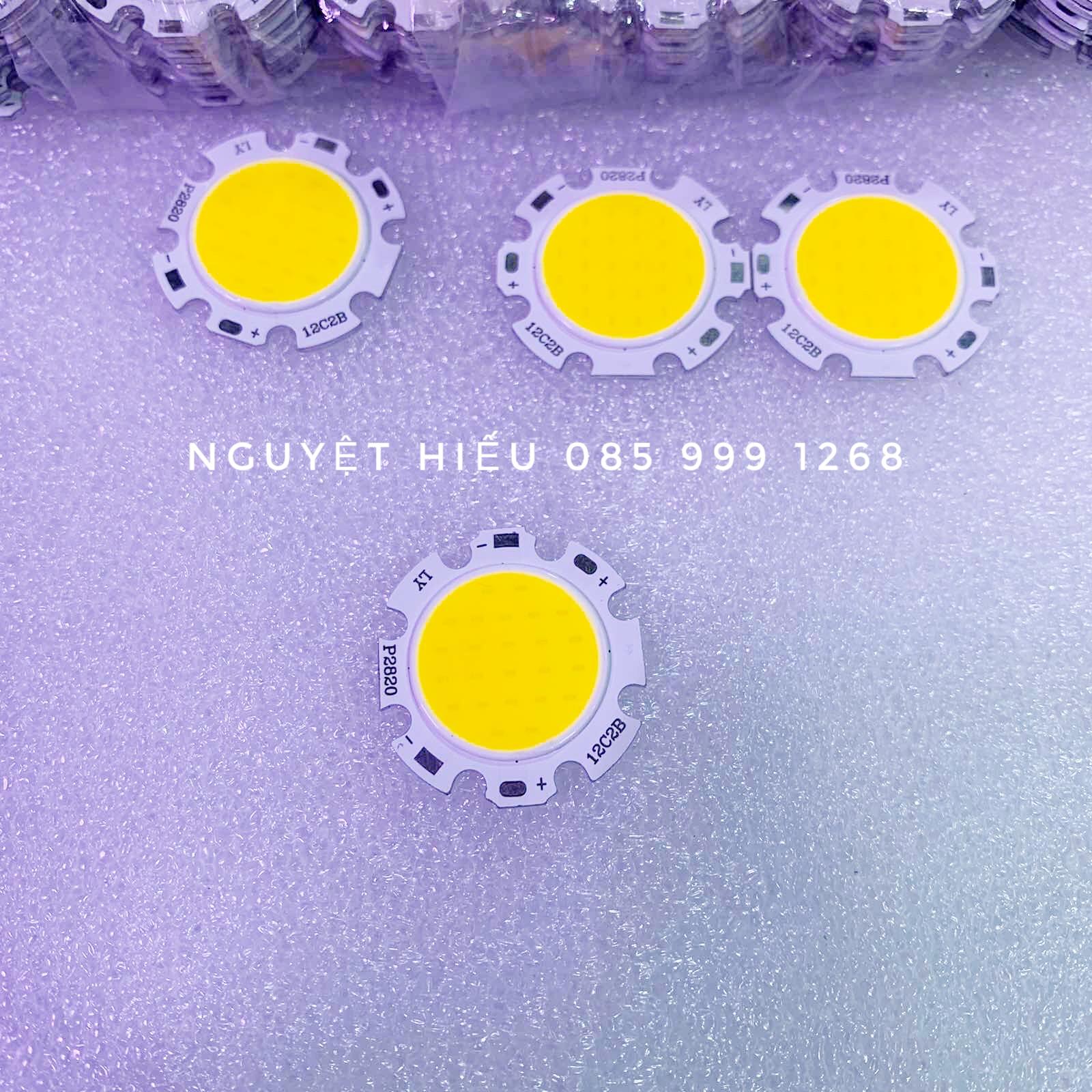 Nhân chip led COB 36V 12W - MixASale