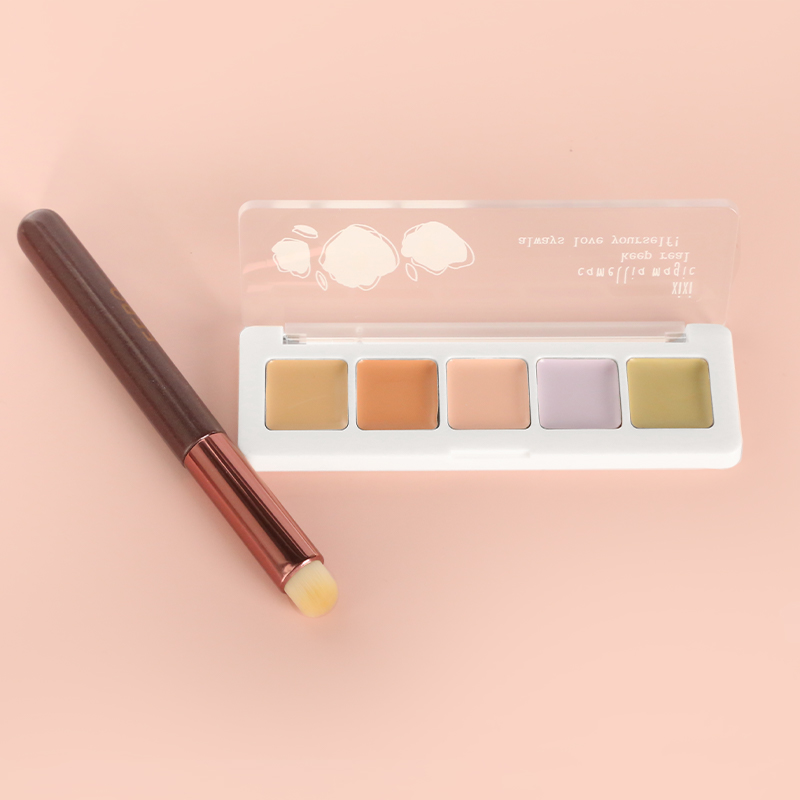 Derf 5 màu che phủ rộng không thấm nước bền lâu Trọng lượng nhẹ che khuyết điểm bìa Palette ...