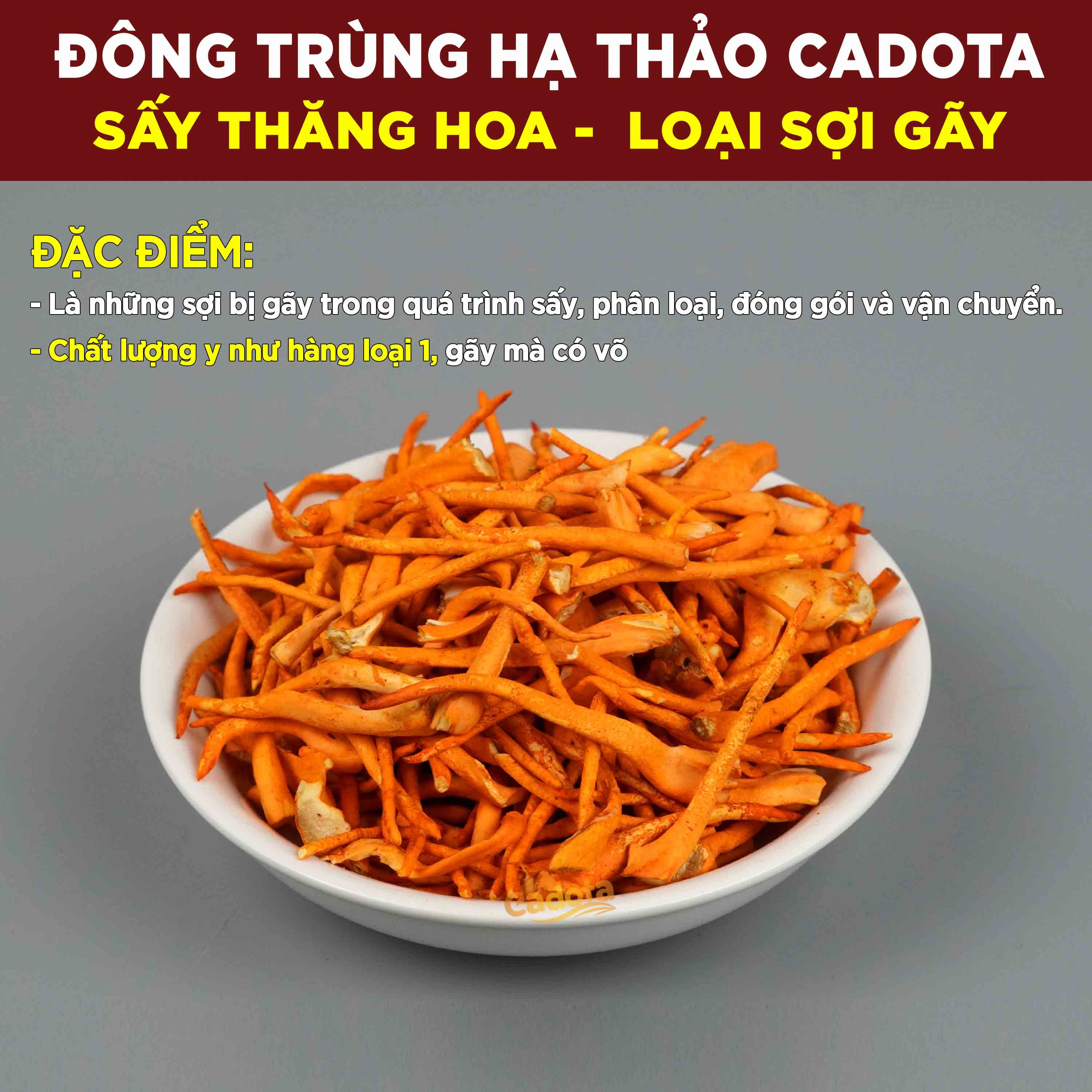 Hũ 10g Đông trùng hạ thảo sấy thăng hoa Sợi Gãy giúp dễ ngủ tăng cường ...