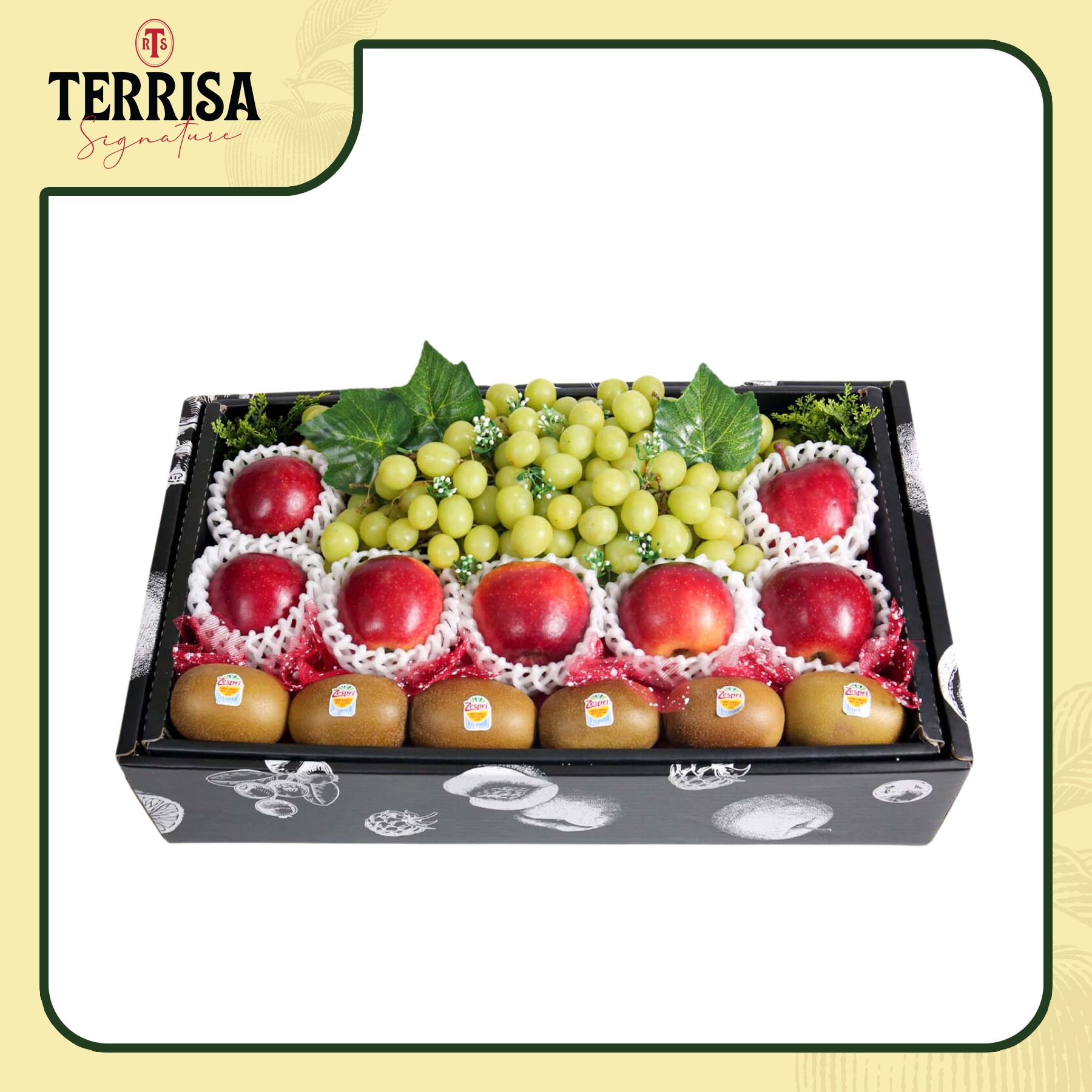 HCM Quà tặng TERRISA Signature 11 - TERRISA - Giao nhanh - MixASale