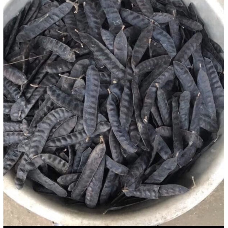 Trái bồ kết khô 500gr - Trái to, đẹp | Lazada.vn