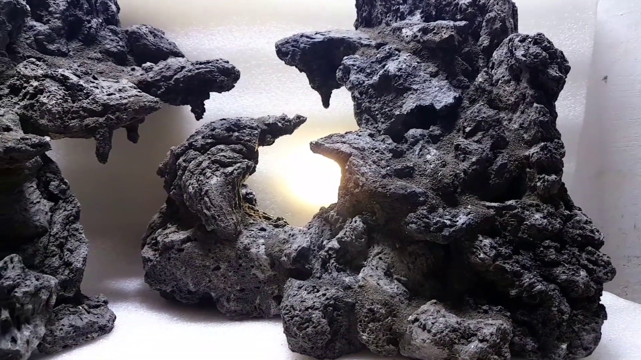 Lũa Trang Trí Bể Cá - Bể Thủy Sinh - Lũa Rừng Tự Nhiên Lũa Chuyên Setup ...