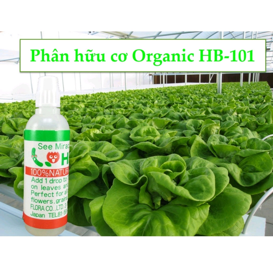 Siêu phẩm tăng trưởng Sinh học HB-101 Nhật Bản 6cc (1 lọ) Ra rễ mạnh, phục hồi cây suy yếu, hậu ...