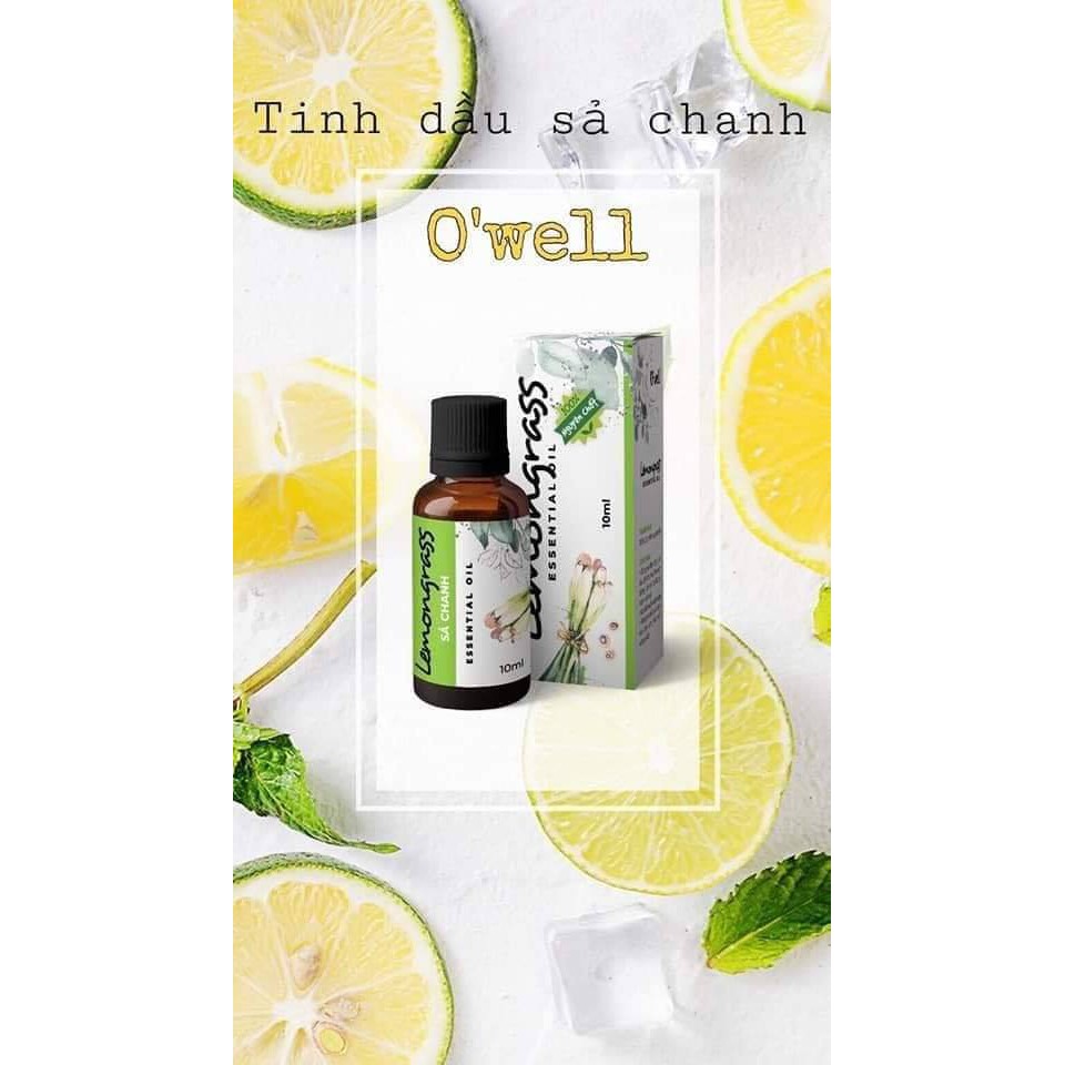 Owell giá tốt Tháng 09,2022|BigGo Việt Nam