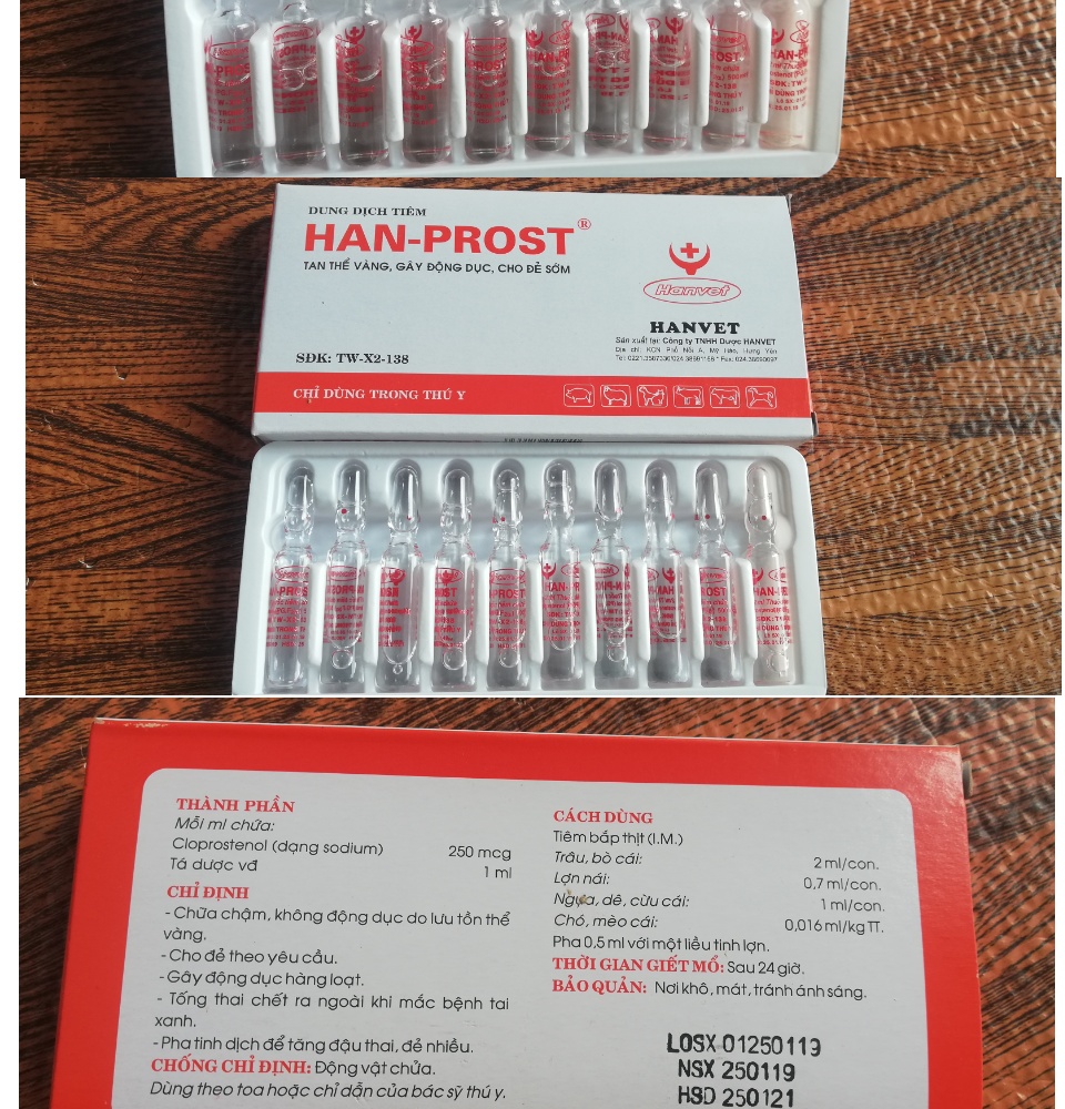 1 ống HAN-PROST 2 ml gây động dục,Tan thể vàng, cho đẻ sớm ở gia súc ...