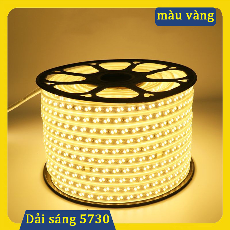 Đèn Led dây đôi 5730 siêu sáng 2 hàng Trắng; Vàng; Xanh dương; Xanh lá ...