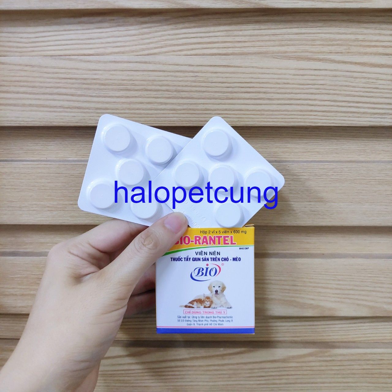 Viên Tẩy Giun, Viên Xổ Giun Chó Mèo Bio-Rantel | Lazada.vn