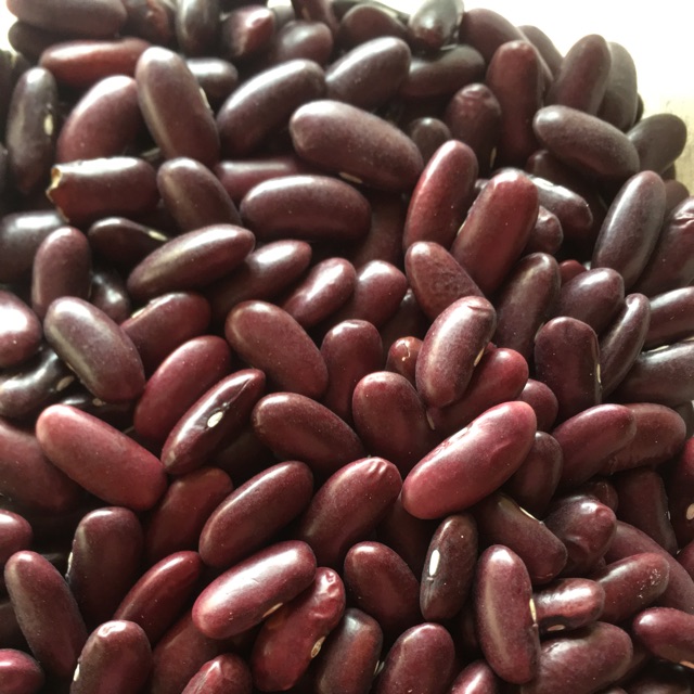 1kg Đậu Đỏ Tây Đậu Thận Đỗ Thận Giống Thuần Chủng Loại To Ngon Bở Nấu Xôi Nấu Cháo Nấu