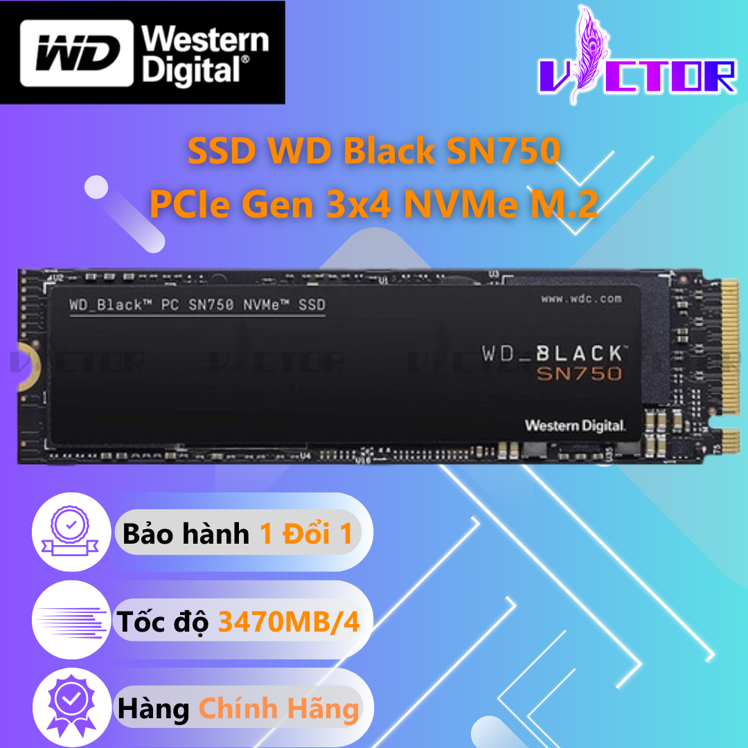 Ổ cứng gắn trong tốc độ cao cho Laptop PC Playstation SSD WD Black ...