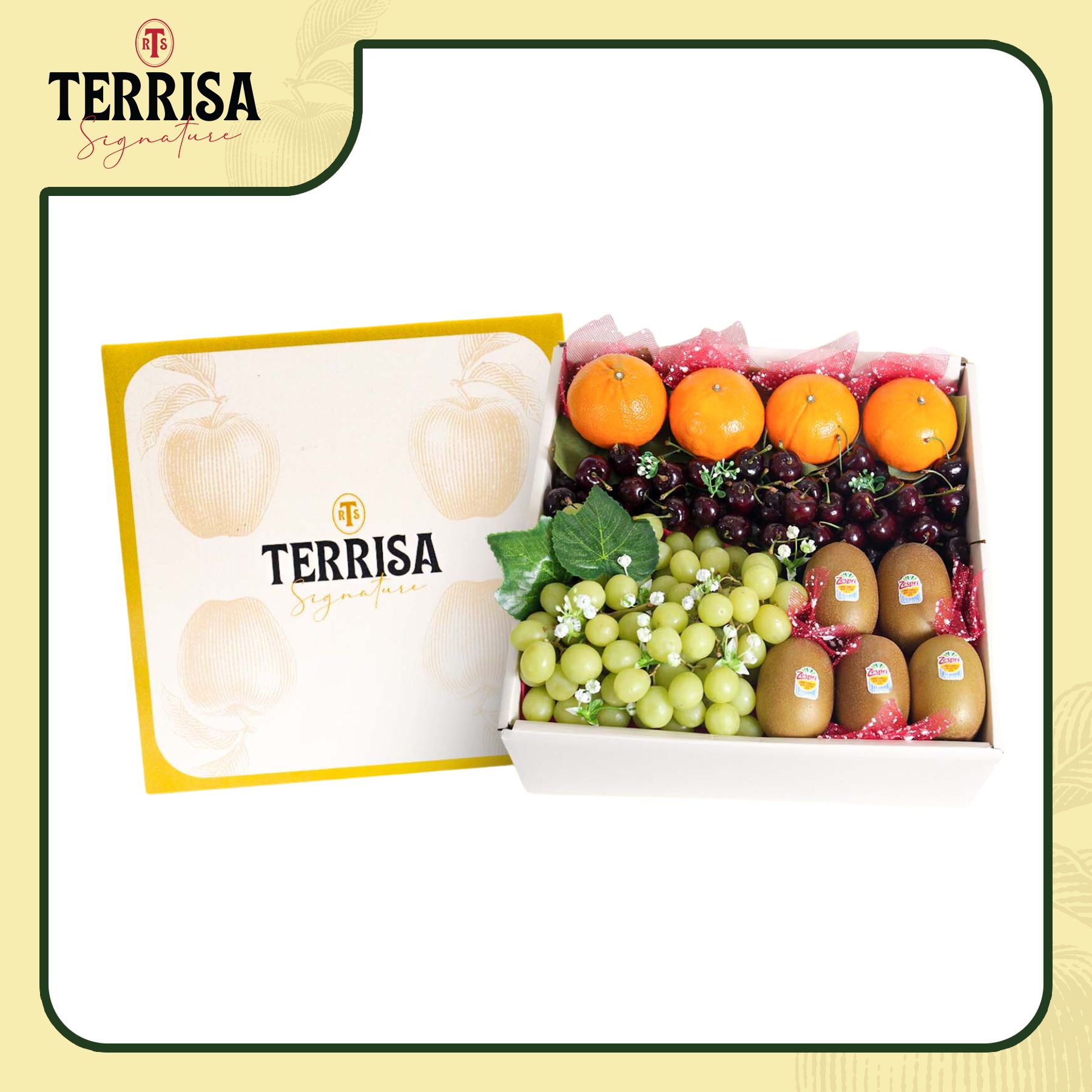 HCM Quà tặng TERRISA Signature 11 - TERRISA - Giao nhanh - MixASale