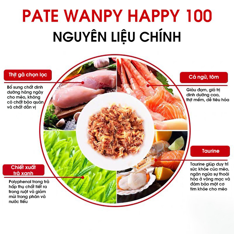 Pate Wanpy Happy 100 (gói 70gr) nhập khẩu chính hãng Không chất phụ gia ...