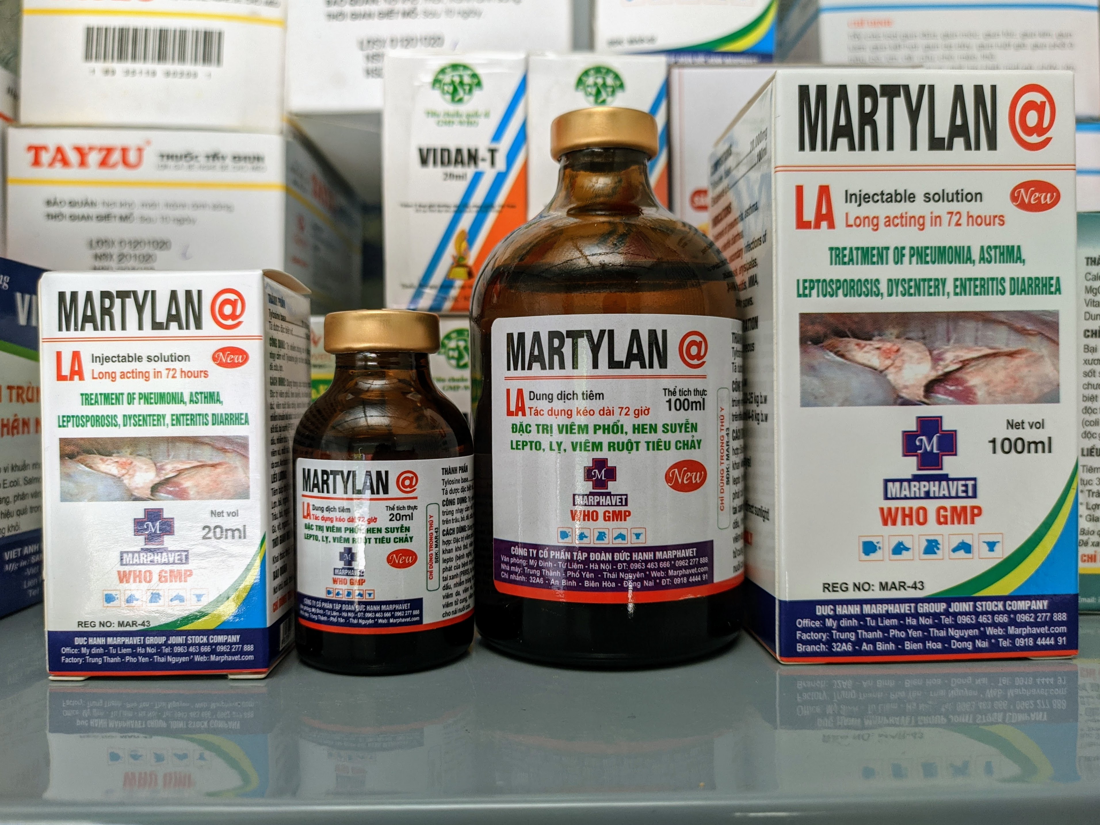 MH Genta Tylo D (10ml) - Tiêm chó mèo ói mửa, tiêu chảy, viêm ruột ...