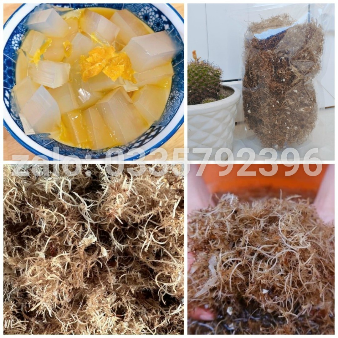 Rong Xu Xoa Khô Lý Sơn Bịch 100gr - Đặc sản Miền Trung Út Duyên | Lazada.vn