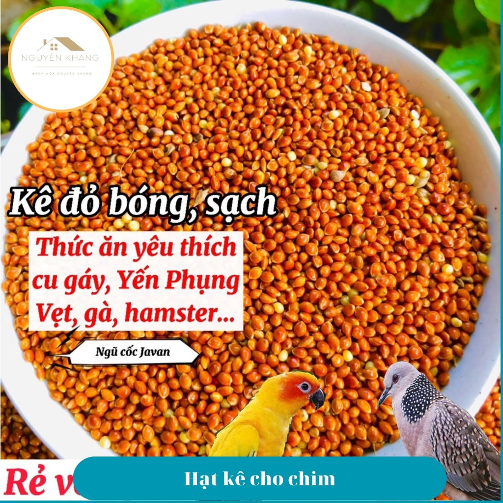 Hạt kê nhỏ kê đỏ hạt bóng túi 500 gr cho chim cu gáy Vẹt chim Yến Phụng ...