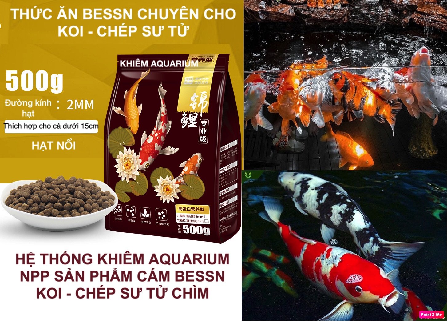 THỨC ĂN CÁ KOI SIÊU ĐẠM DÀNH CHO KOI GIÚP TĂNG MÀU VÀ TĂNG TRƯỞNG GÓI 0,5KG, Cám cá Koi | Lazada.vn