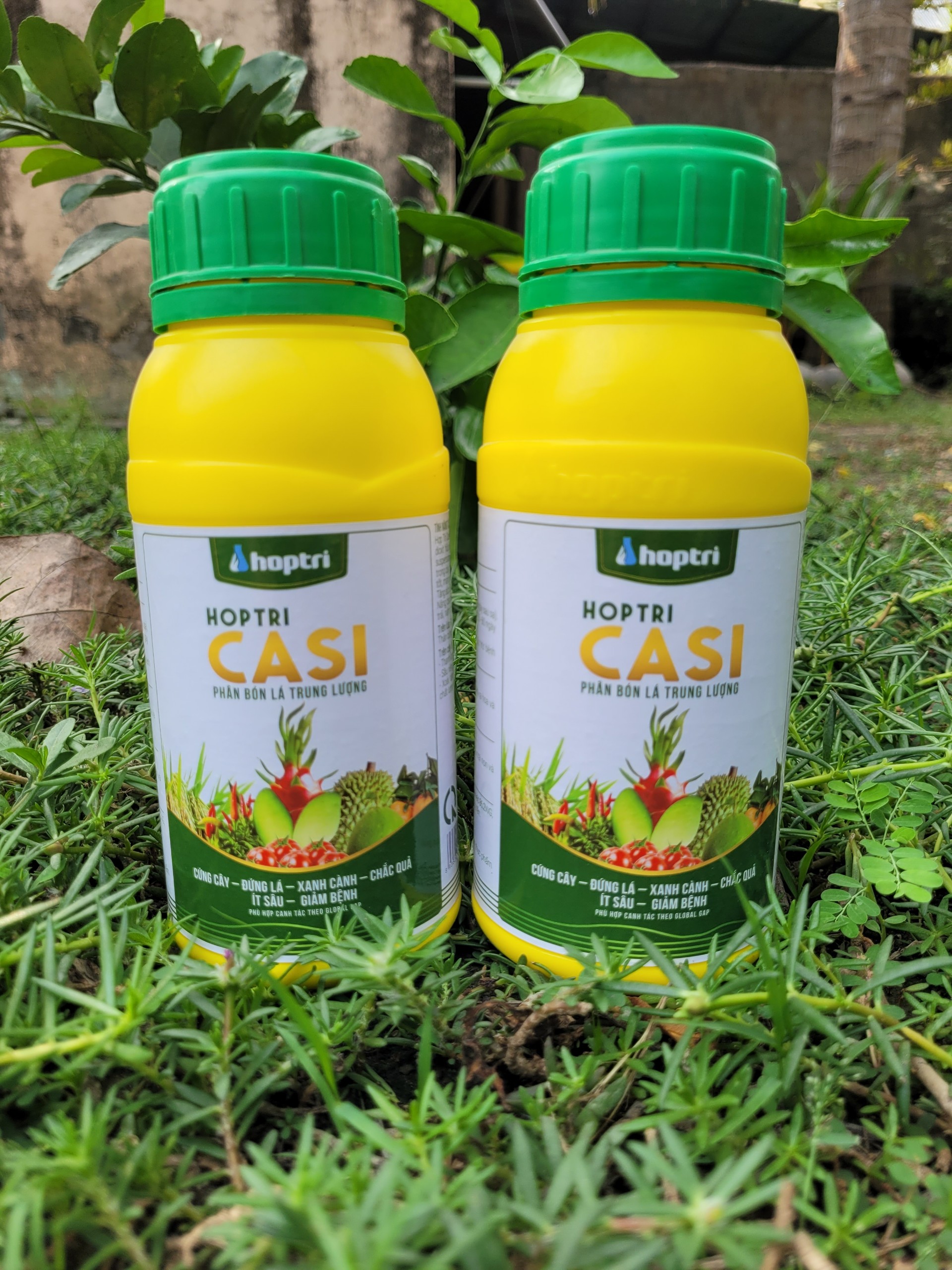 [Freeship Max] Phân bón lá HOPTRI CASI cung cấp trung lượng giúp cứng ...