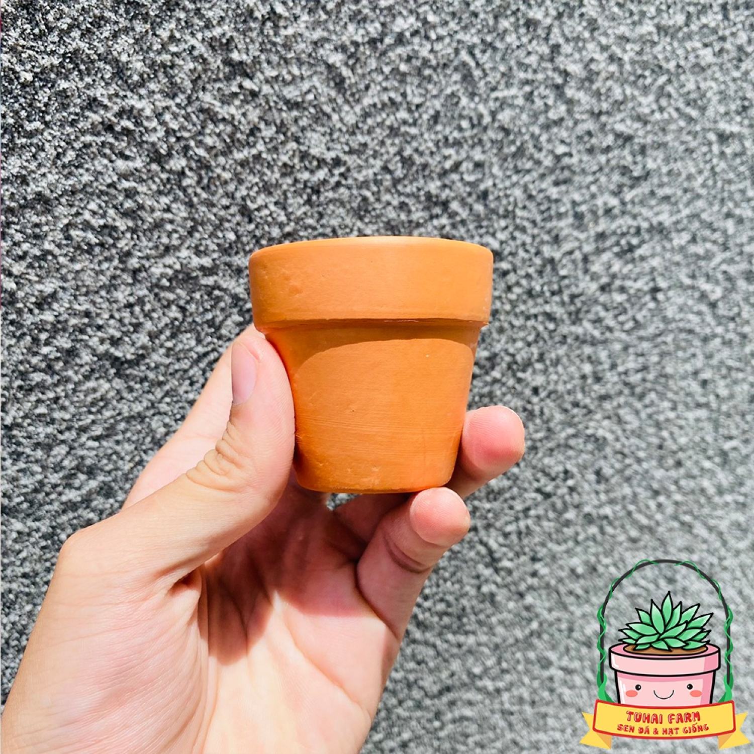 CHẬU ĐẤT NUNG MINI - CHẬU TRỒNG SEN ĐÁ, XƯƠNG RỒNG, BONSAI - NHIỀU KÍCH ...