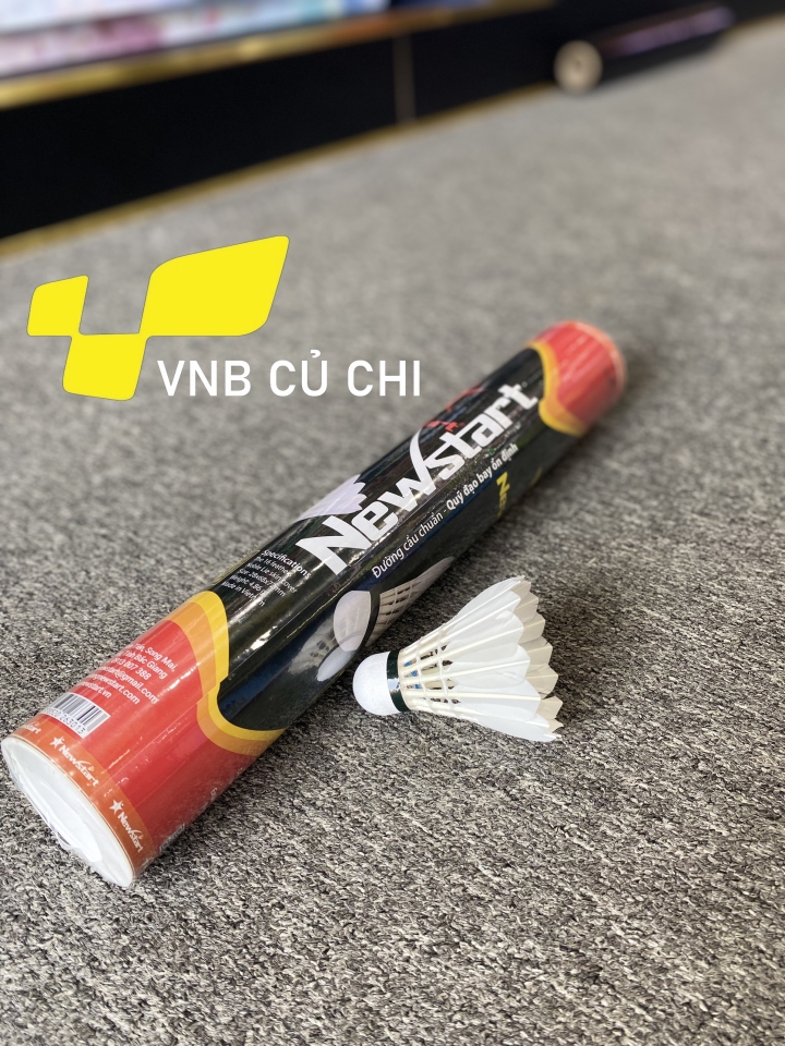 Ống Cầu Lông Newstar (12 quả/ ống) | Lazada.vn